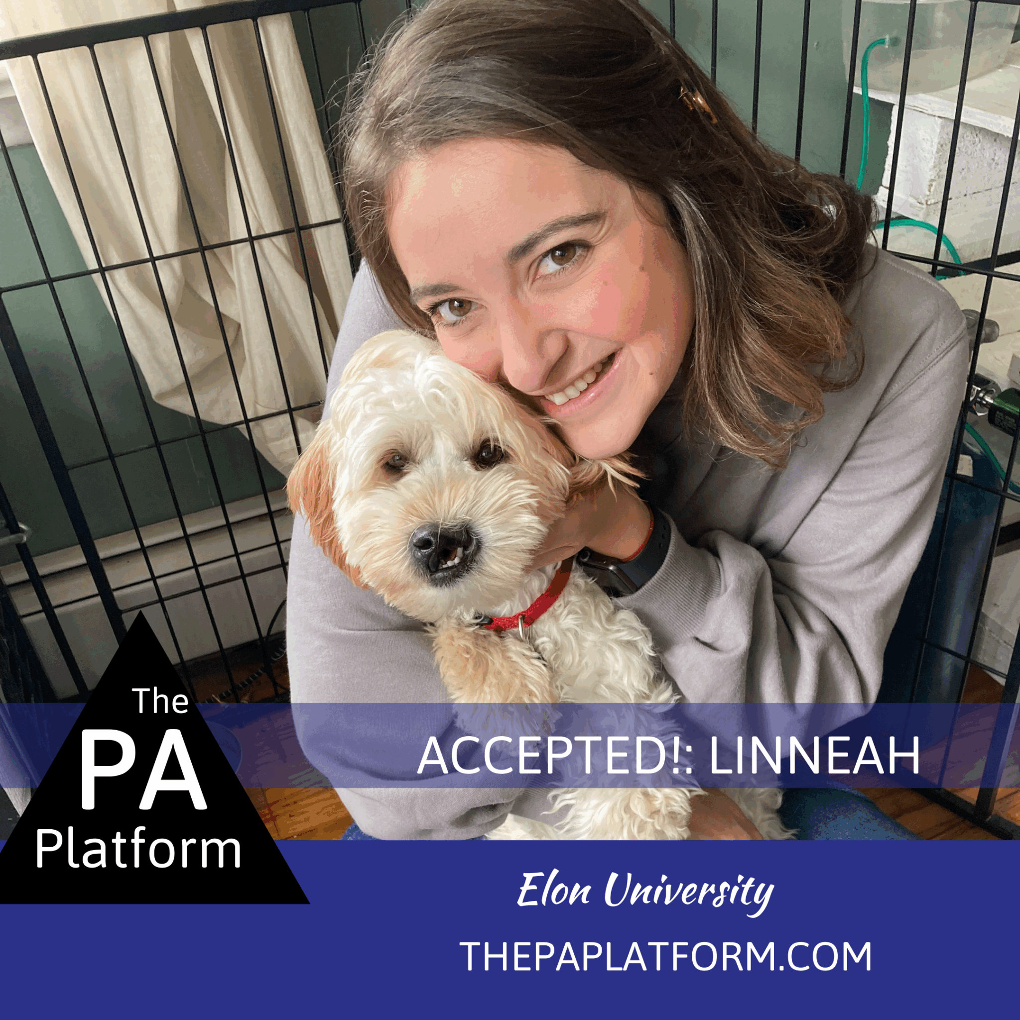 Accepted!: Neda - Low Science GPA to PA Student | The PA Platform